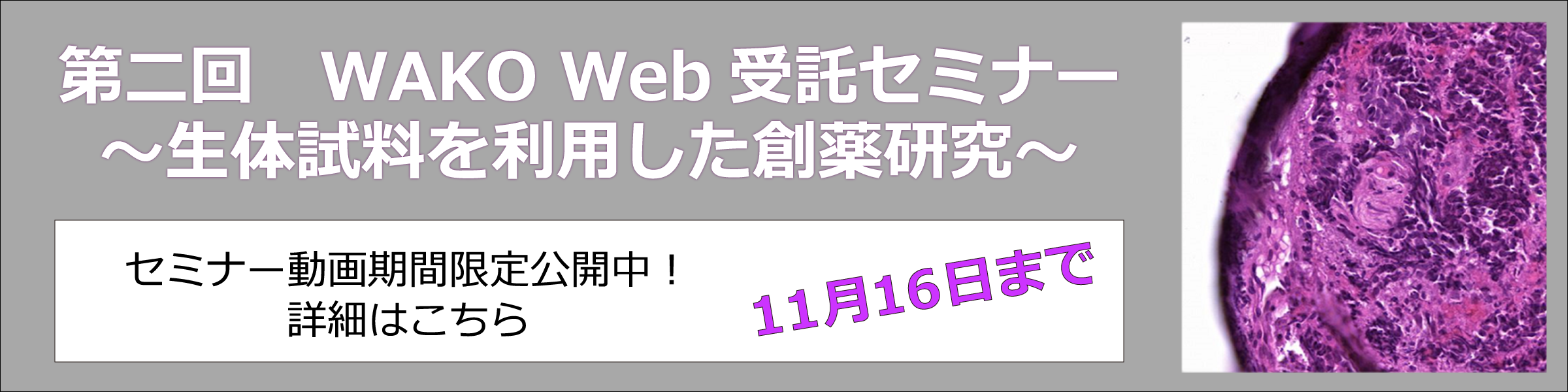 provitroの生体試料について｜【受託サービス】製品情報｜試薬-富士フイルム和光純薬