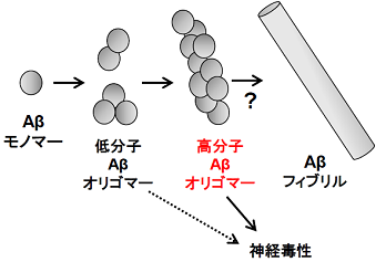 オリゴマー (オリゴマー) - Japanese-English Dictionary - JapaneseClass.jp