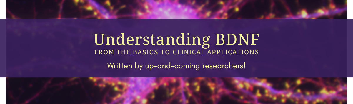 Free contents downloadUnderstanding BDNF - from the basics to clinical ...